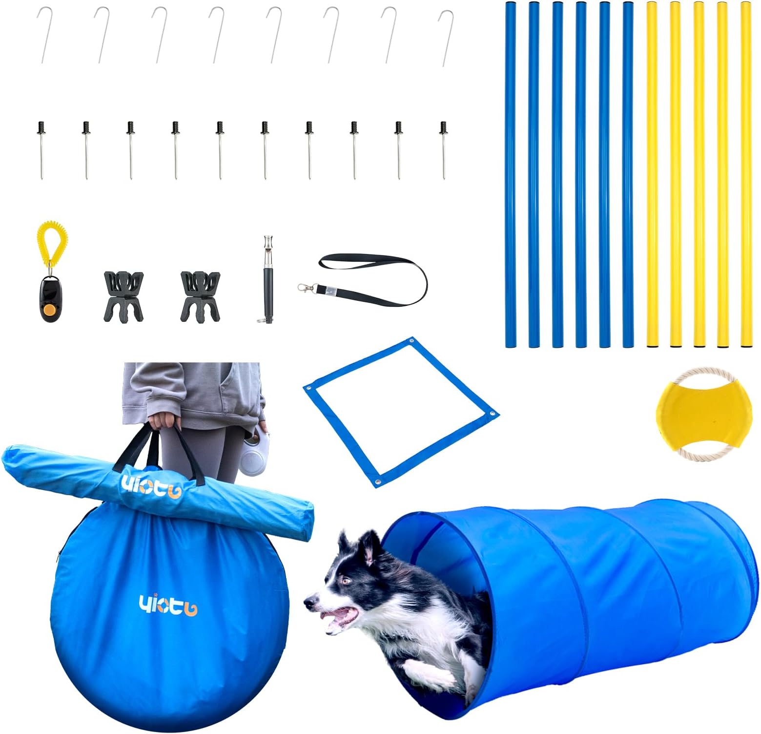 Amazon.com : Fun For Tails Premium Dog Agility Training Equipment ...