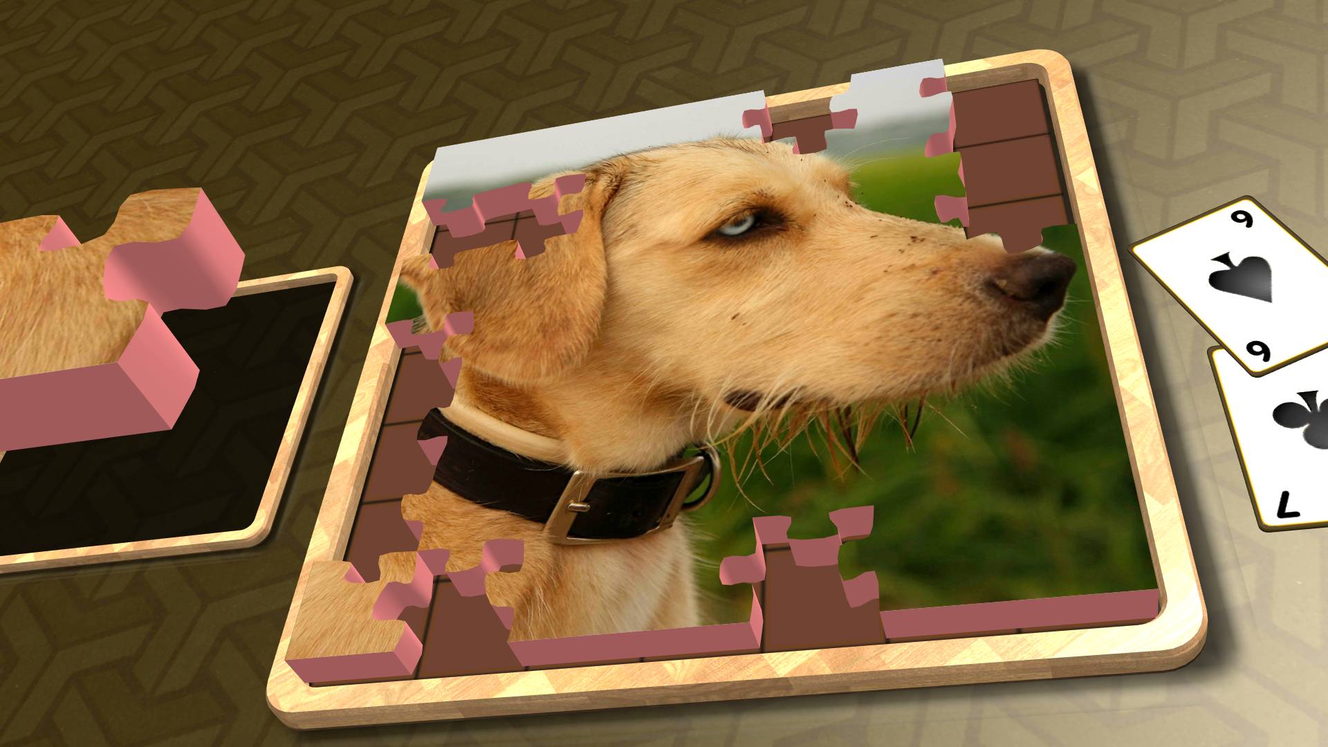 Jigsaw Solitaire - Dogs FireTV - App on Amazon Appstore