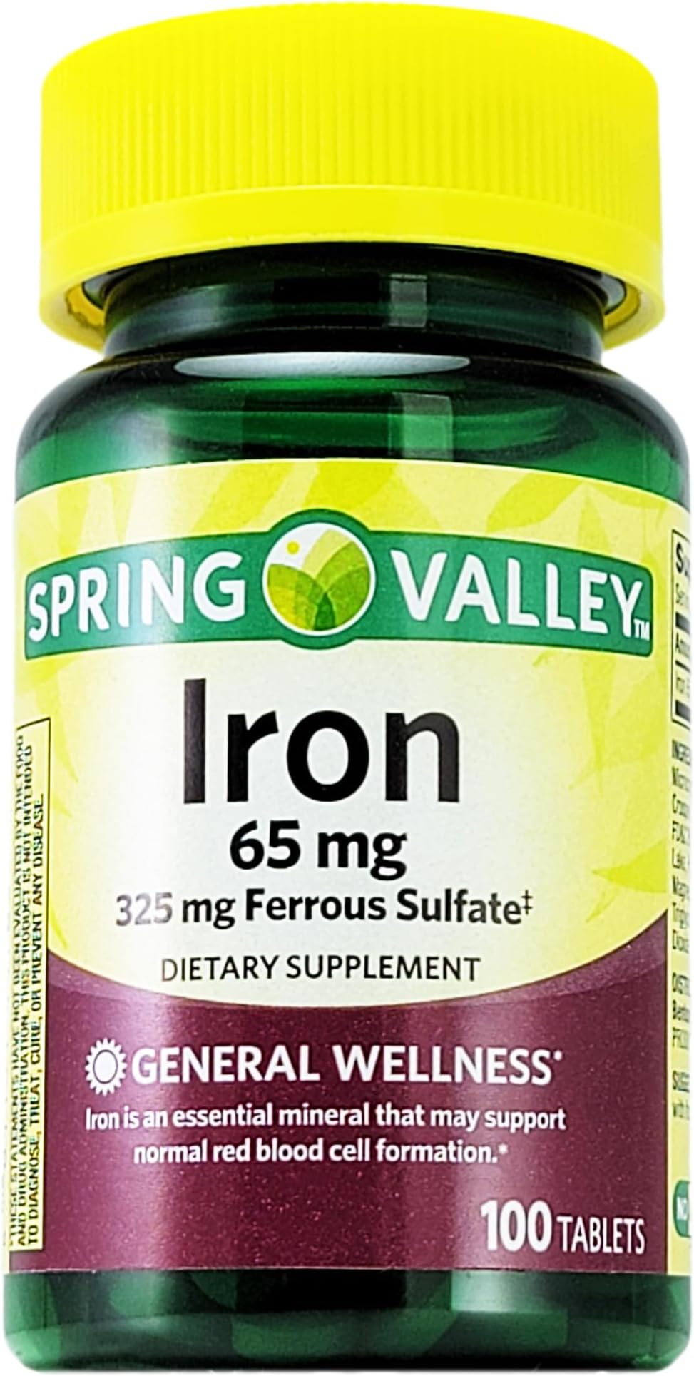 Amazon.com: Spring Valley Iron 65 mg 325 mg Ferrous Sulfate 100 Tablets ...