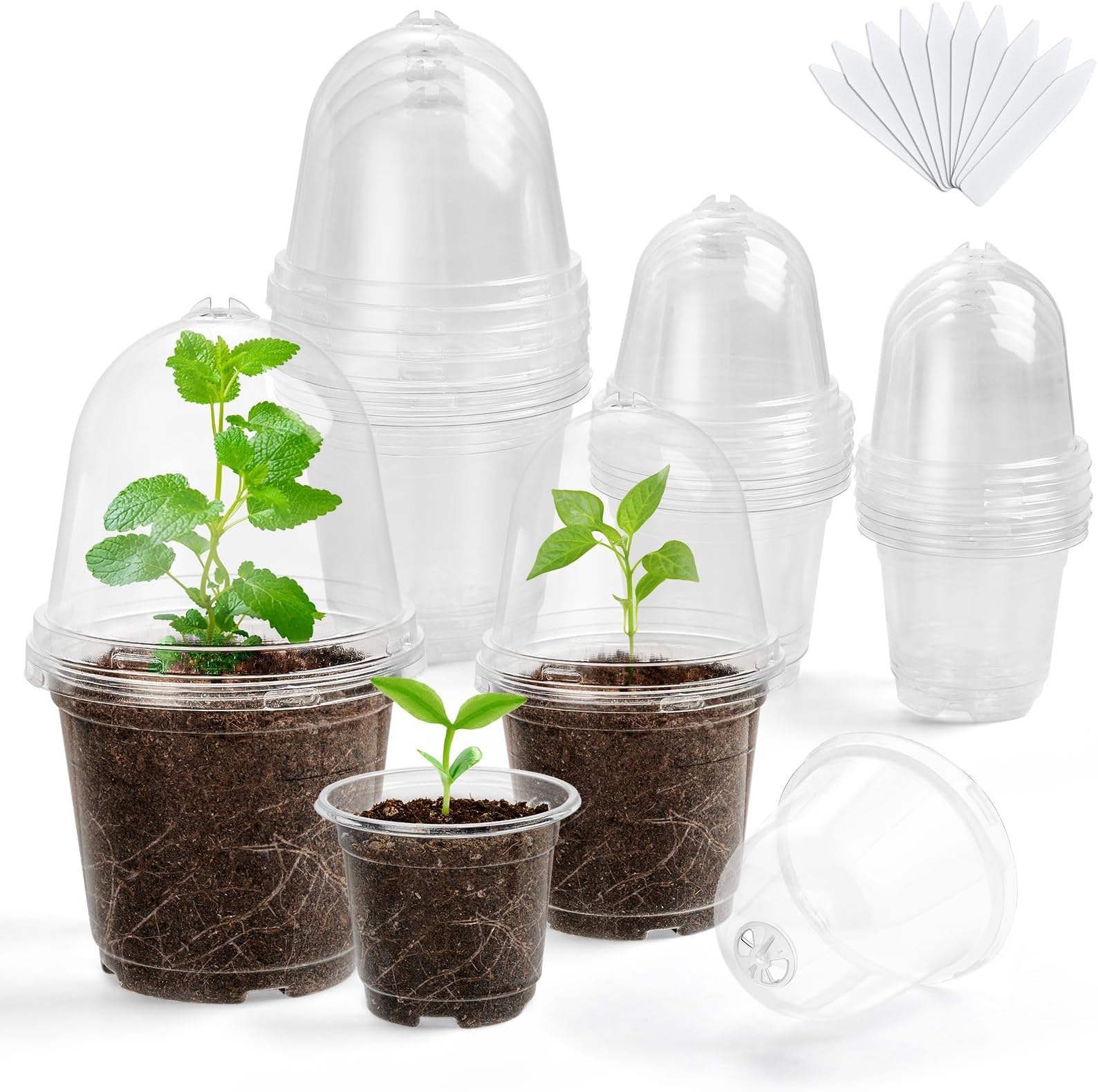 Amazon.com: Biggun 3.5/4/5 Inch Clear Nursery Pots with Humidity Domes ...