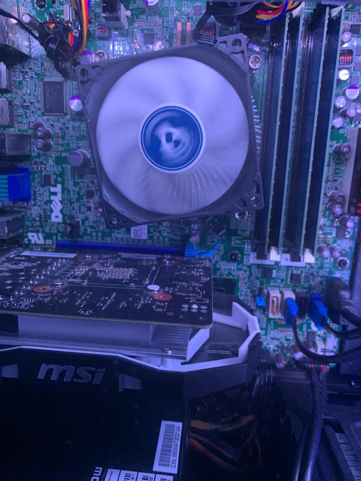 Amazon.com: Pocaton 5Pin Female to 4Pin Male Socket Connector Jack PWM ...