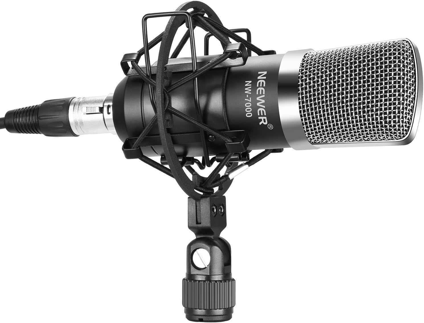Neewer NW-7000 Professional Studio Broadcasting Recording Condenser ...