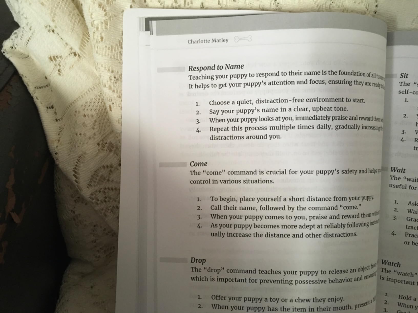 Dog Training Bible: All You Need to Know to Playfully Raise the Best Companion Ever from Puppy ...