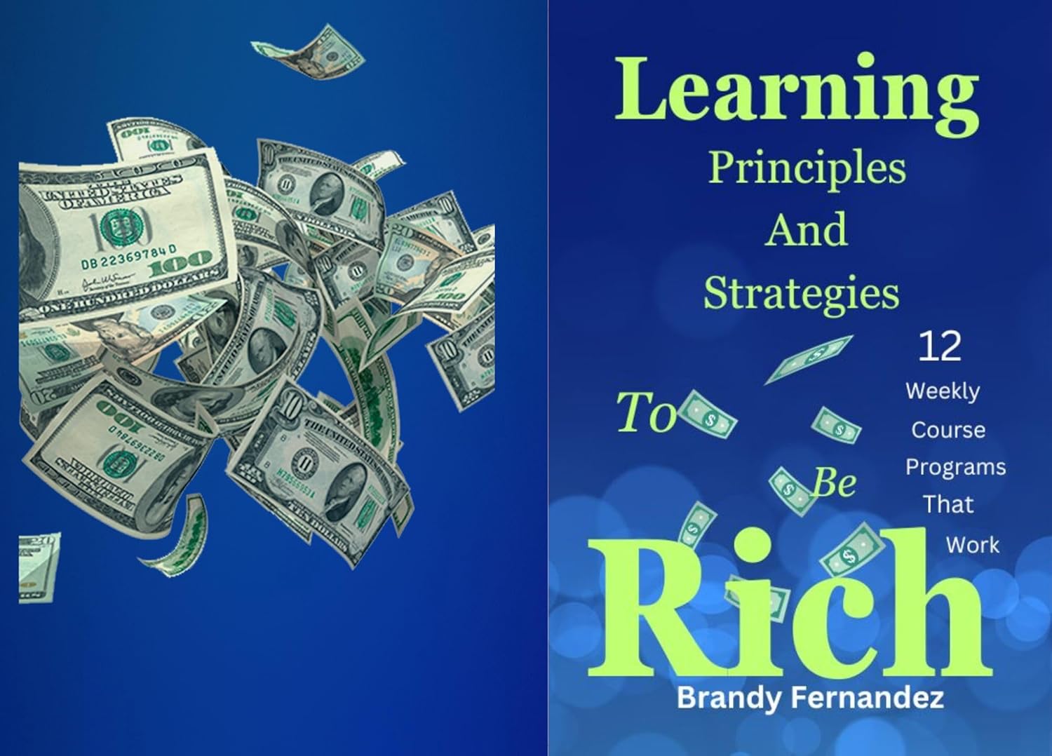 Amazon.com: Learning Principles And Strategies To Be Rich : 12 Weekly ...
