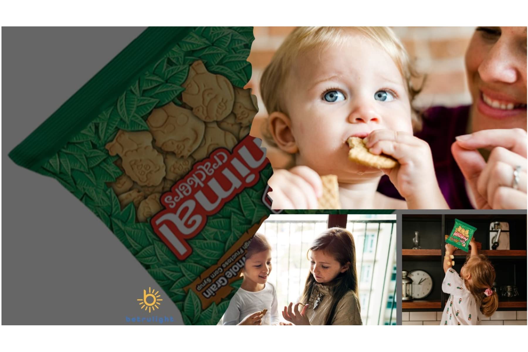 Snapklik.com : Crackers Individual Bags Animal Crackers Variety ...