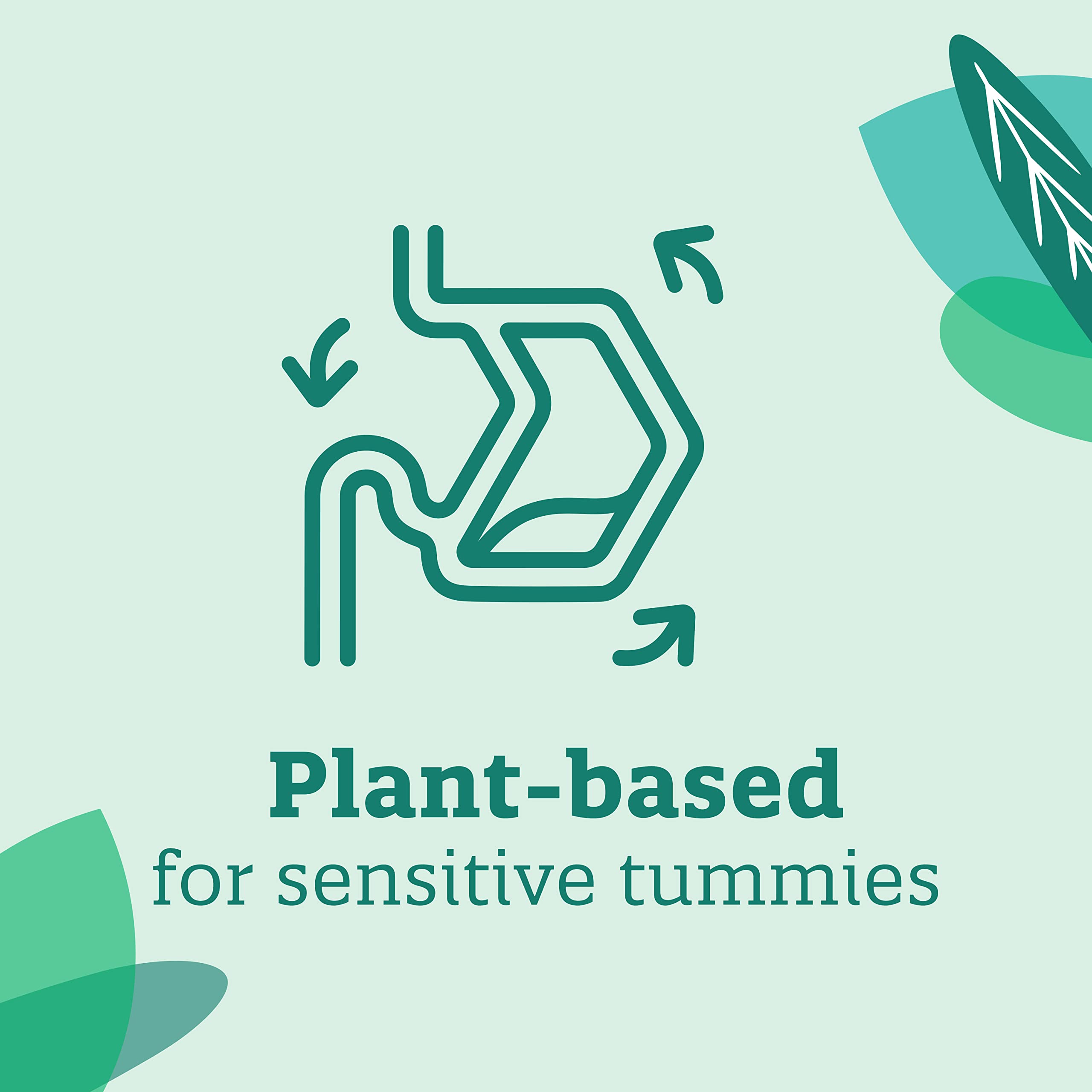 Snapklik.com : Plant Based Baby Formula, 20.9 Oz Powder Can, ProSobee ...