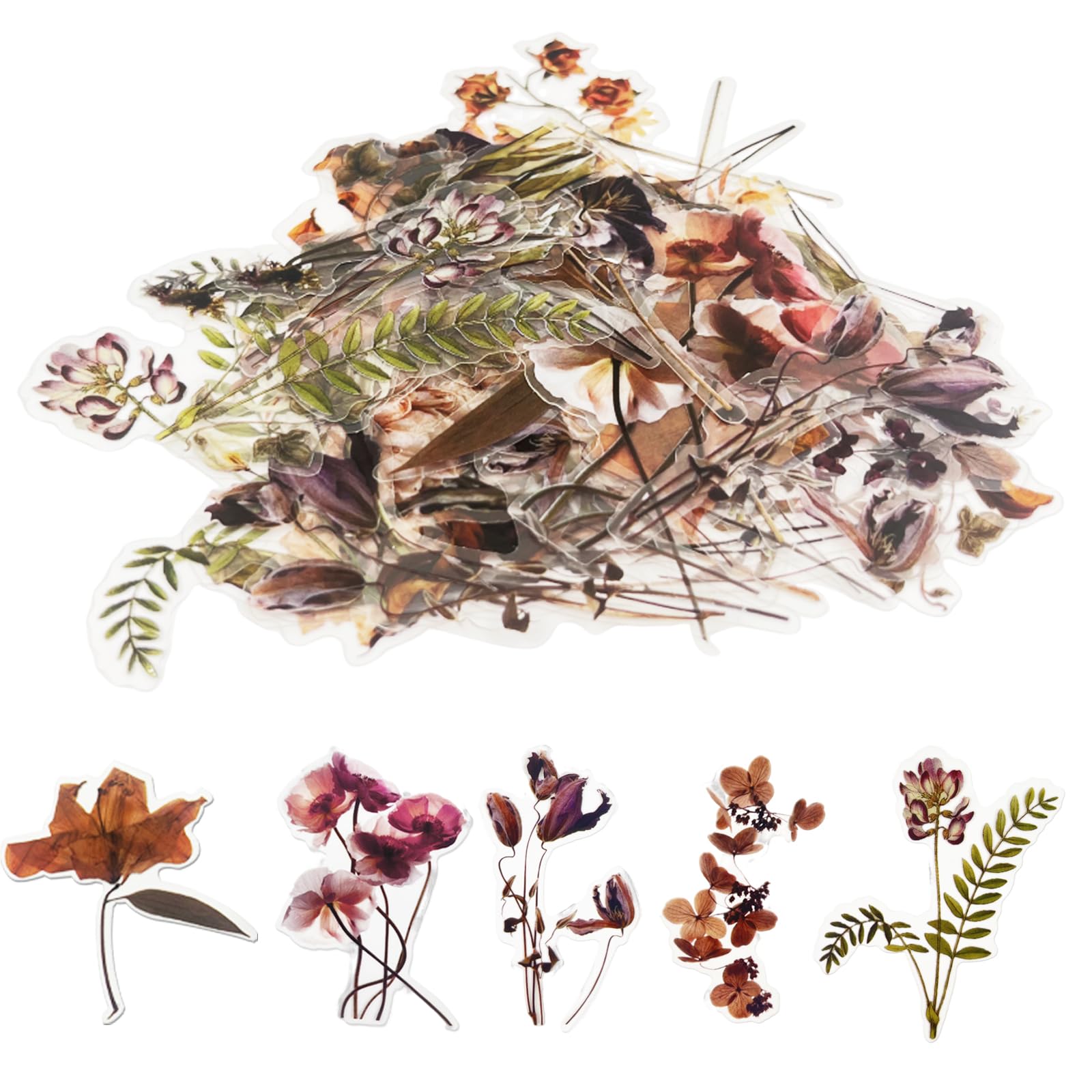 Amazon.com: Natural Flower Stickers for Scrapbooking,PET Nature Plant ...