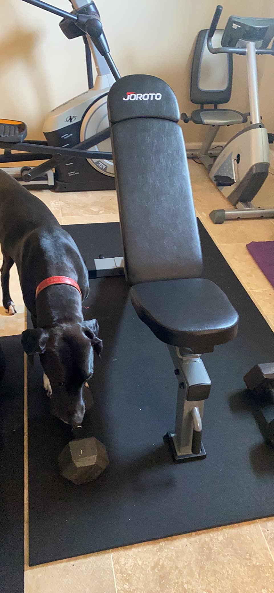 $40/mo - Finance JOROTO MD80 Adjustable Weight Bench - 1000 Lbs Load ...