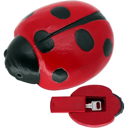 Amazon.com: Memeyou Hide a Key Outdoor Weatherproof Key Hiders Safe ...