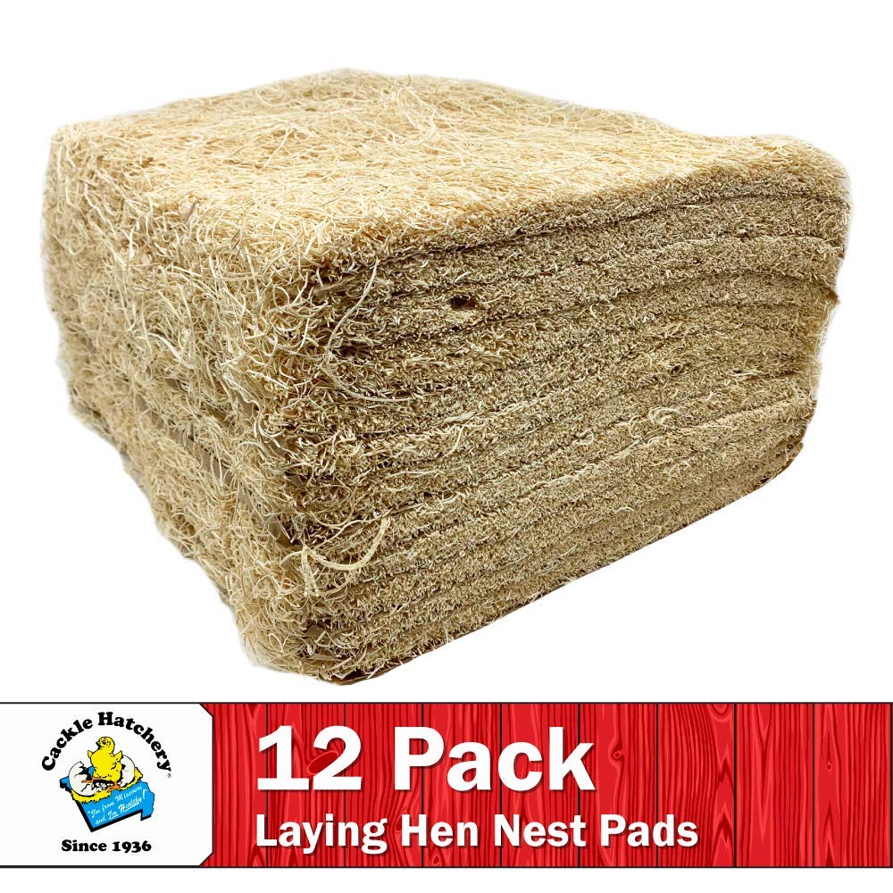 Cackle Hatchery Laying Hen Nest Box Pads Made in USA from Sustainable ...
