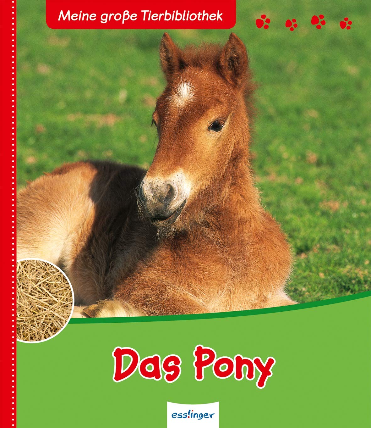 Meine große Tierbibliothek: Das Pony : Tracqui, Valérie: Amazon.de: Bücher