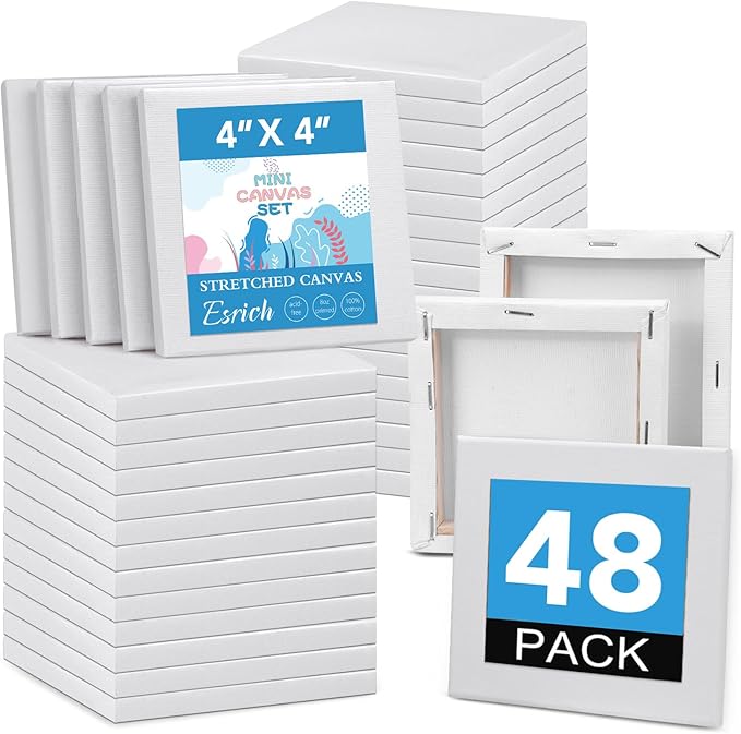Amazon.com: ESRICH Mini Canvases for Painting 4x4 Canvas Value Pack of ...