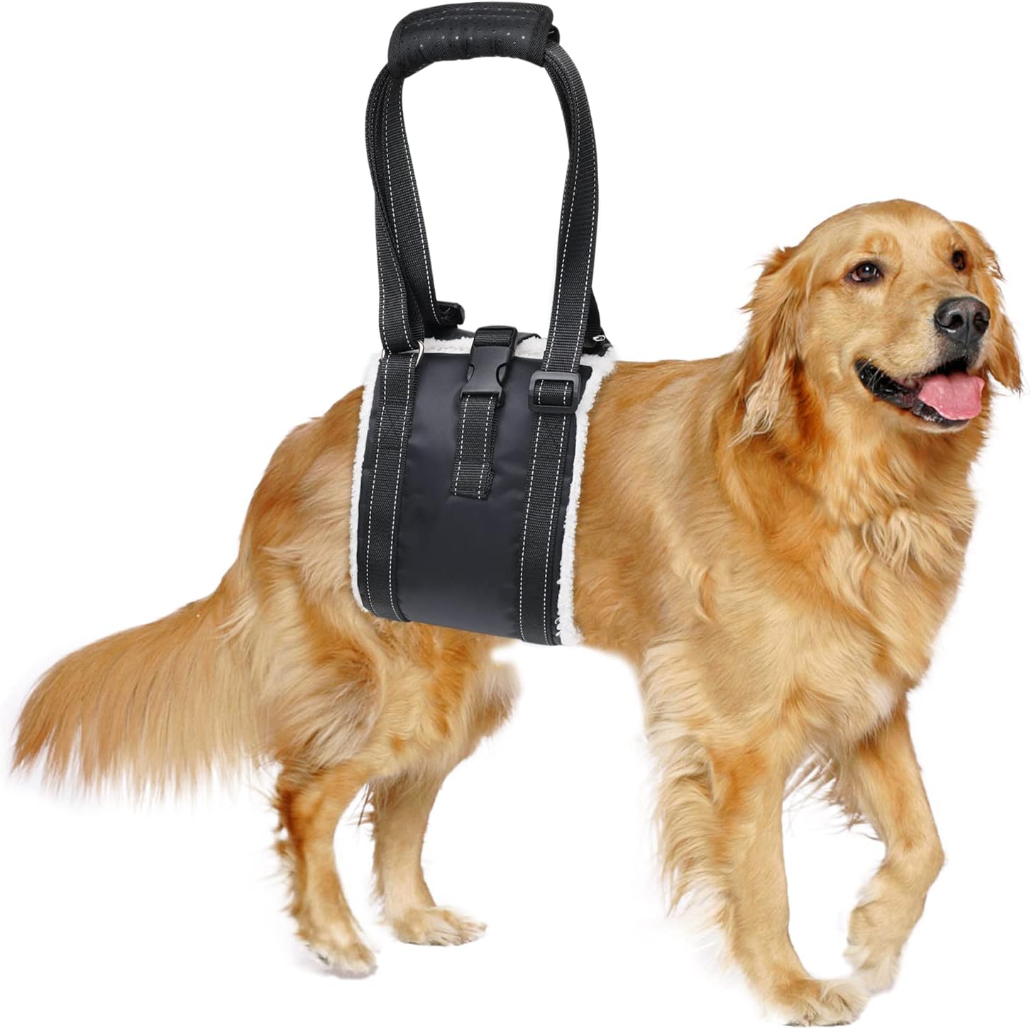 PetSafe CareLift Support Harness - Full Body Lifting Aid with Handle ...