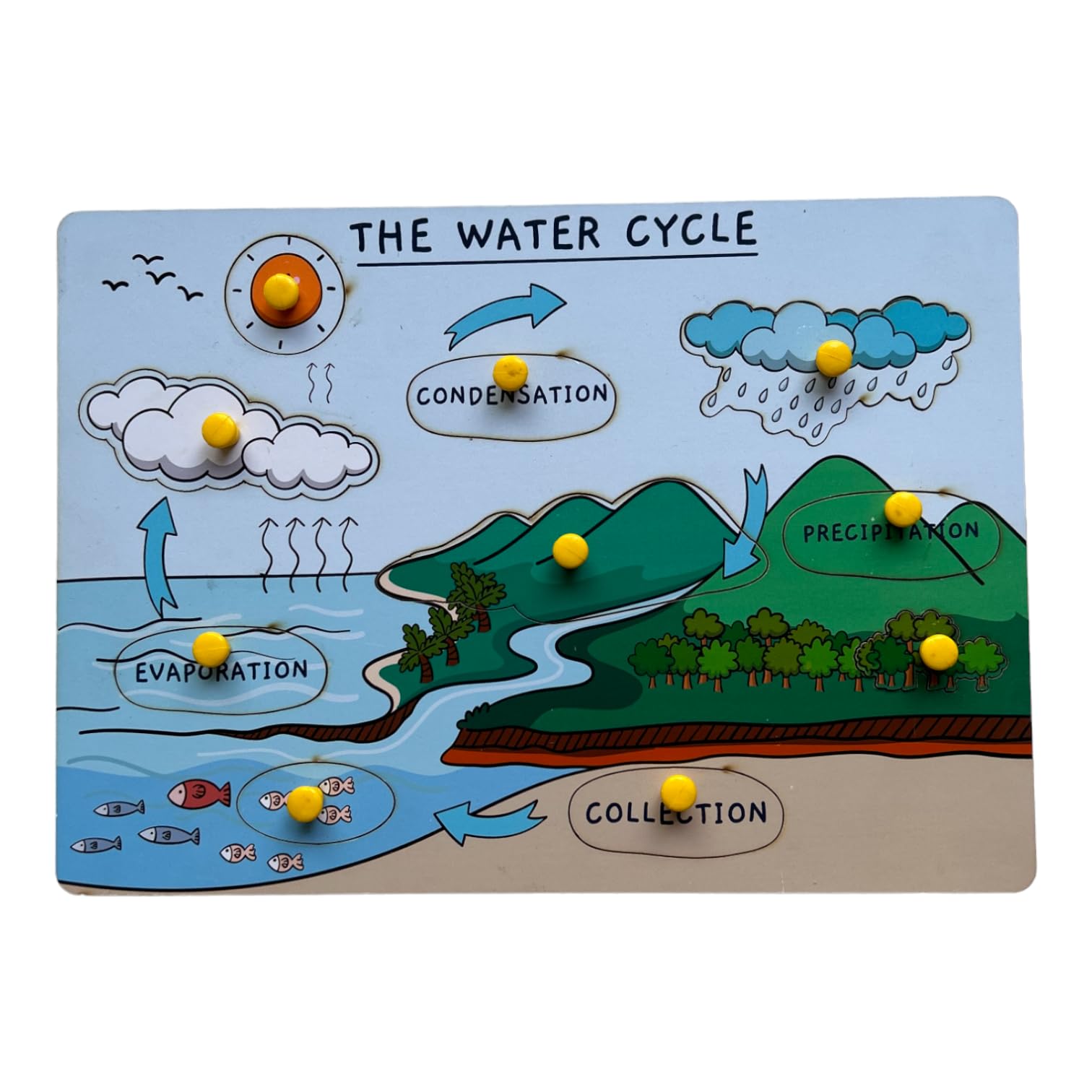 Buy Winkslab: Nature's Recycling System: The Wonders of The Water Cycle ...