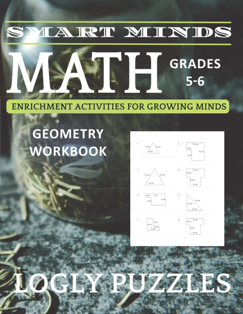 Smart Minds - Math Geometry Workbook For Grades 5-6: Geometry Math ...