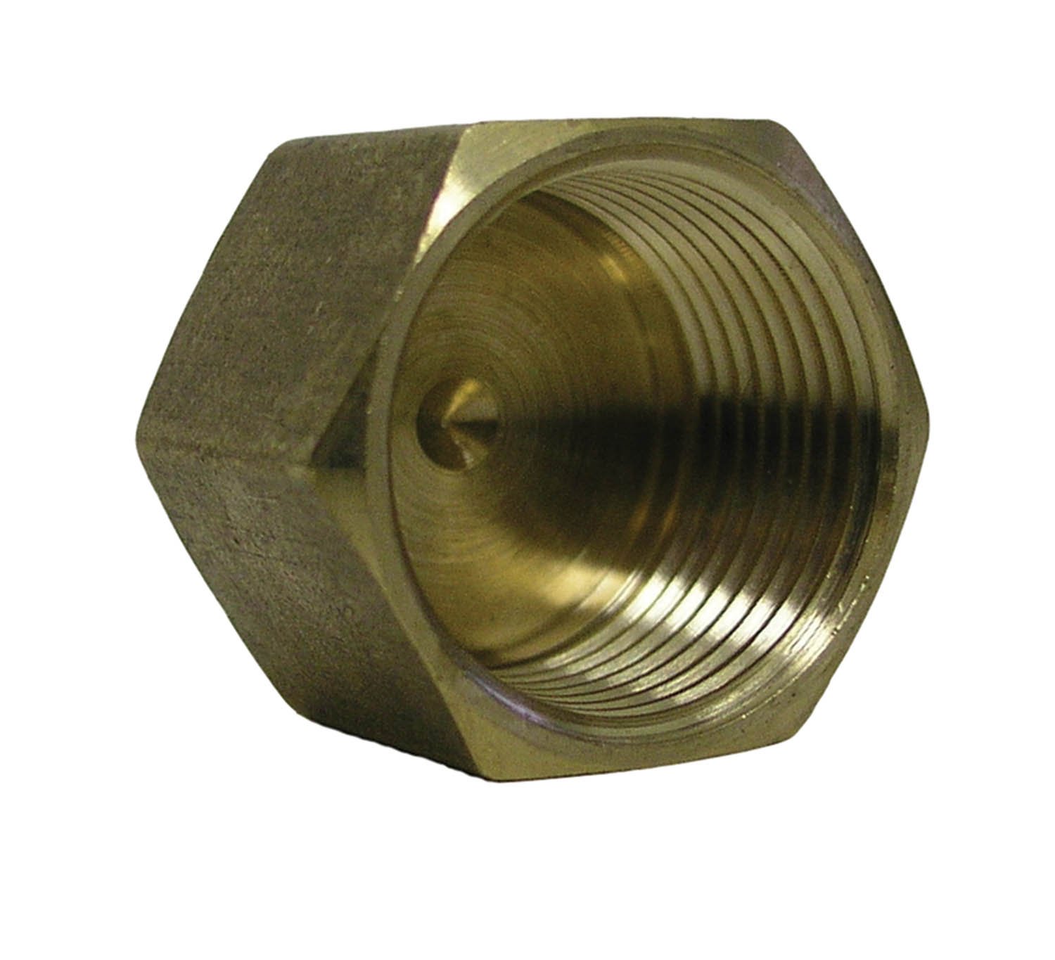 Amazon.com: Watts LFA819 Female Pipe Cap, 1/2-Inch FIP : Industrial ...