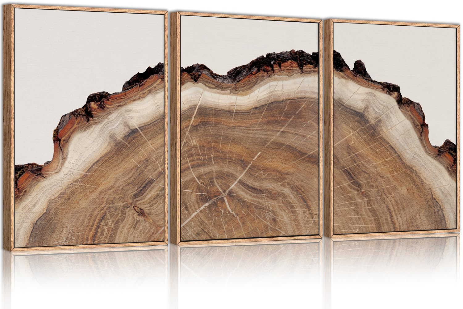 Amazon.com: HPINUB Framed Tree Rings Wood Wall Art Set, Modern Beige ...