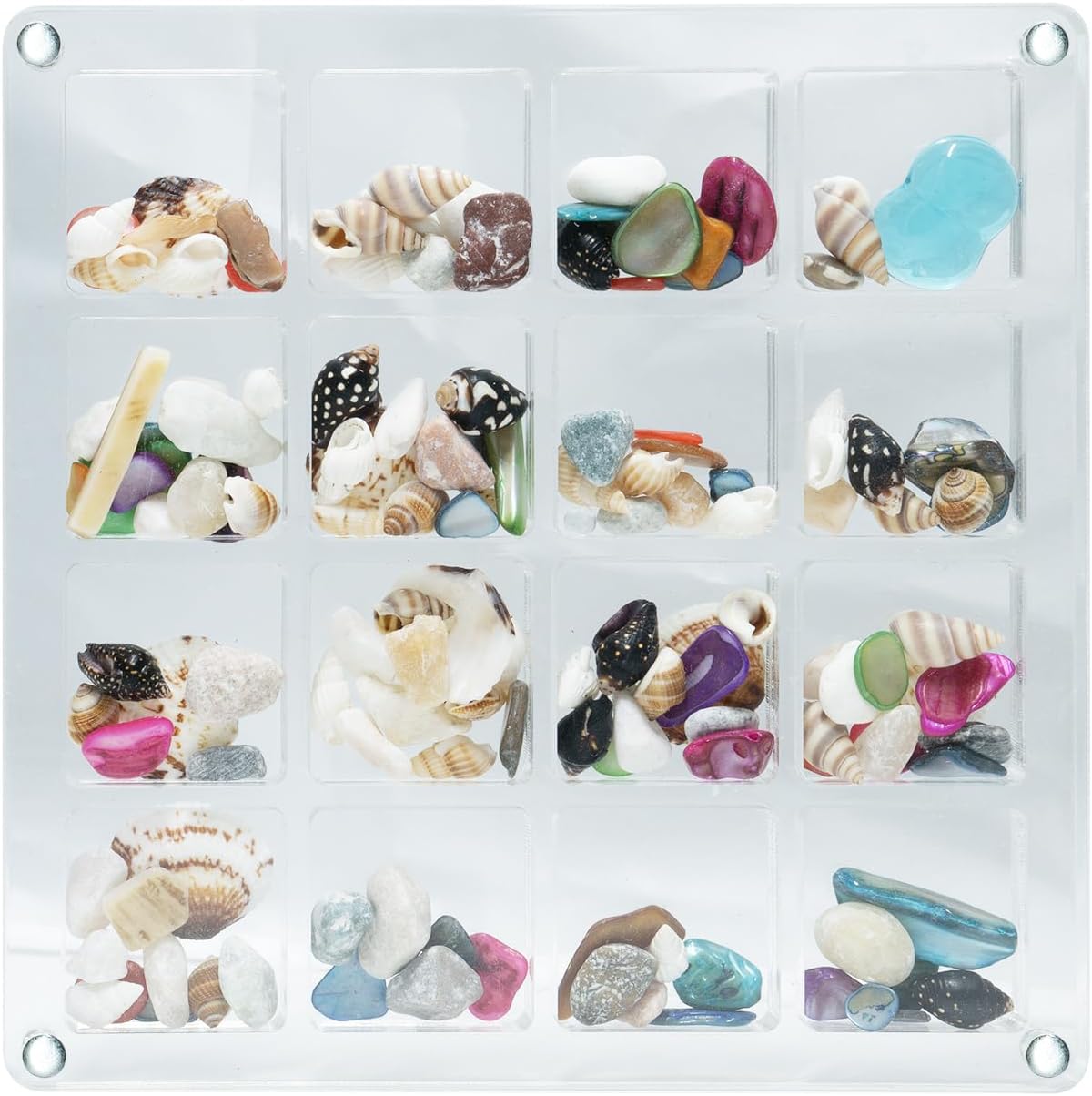 Amazon.com: KYWYOYOU Acrylic Seashell Display Case, - 16 Grids Magnetic ...