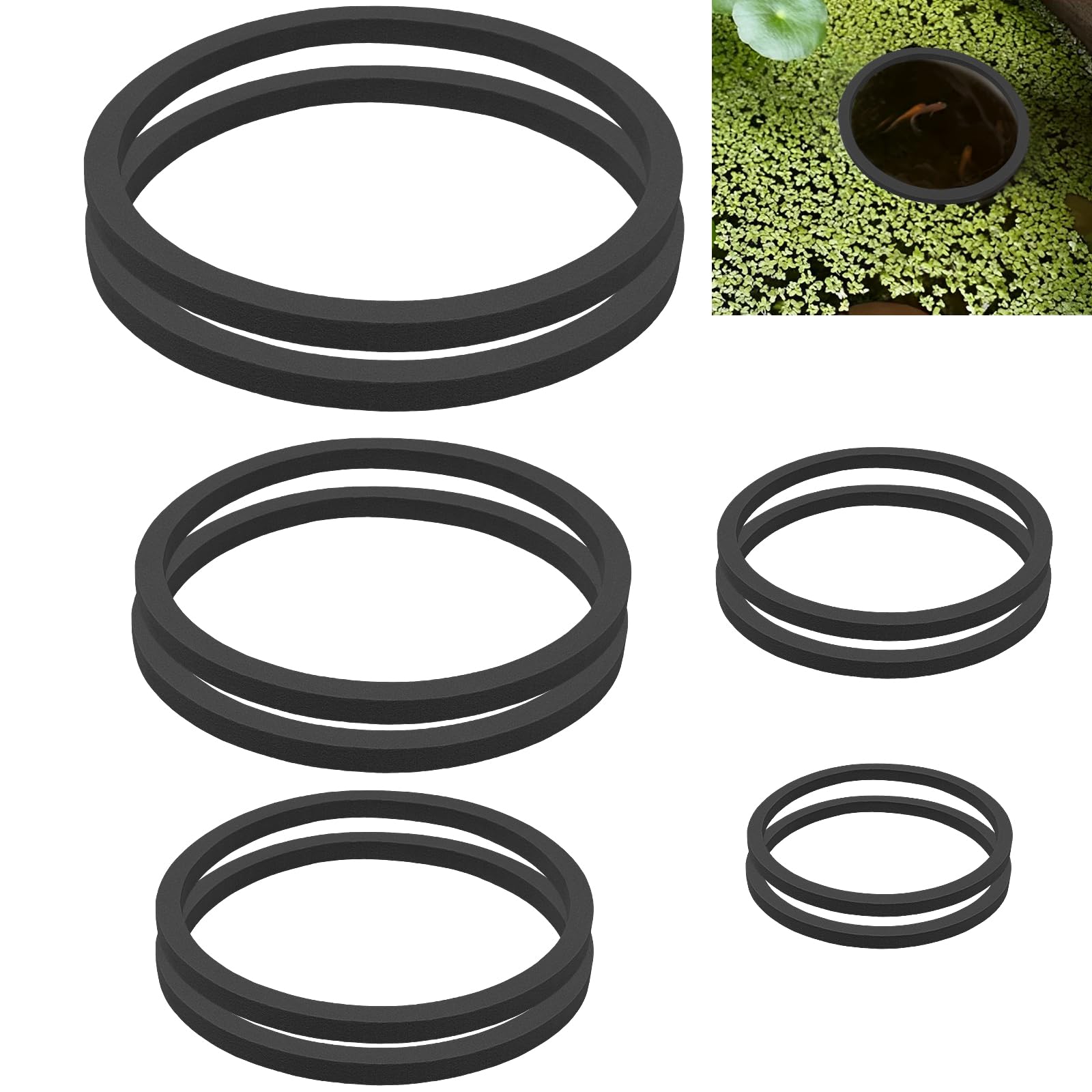 Amazon.com: FWUNYVN 10Pcs Aquarium Floating Plant Rings and Fish ...