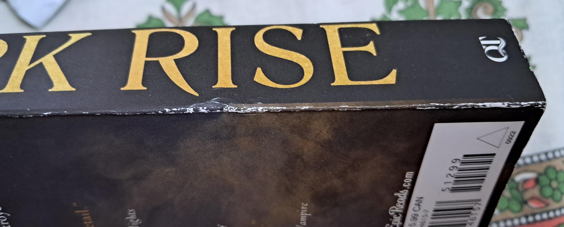 Dark Rise: 1 : Pacat, C. S.: Amazon.in: Books