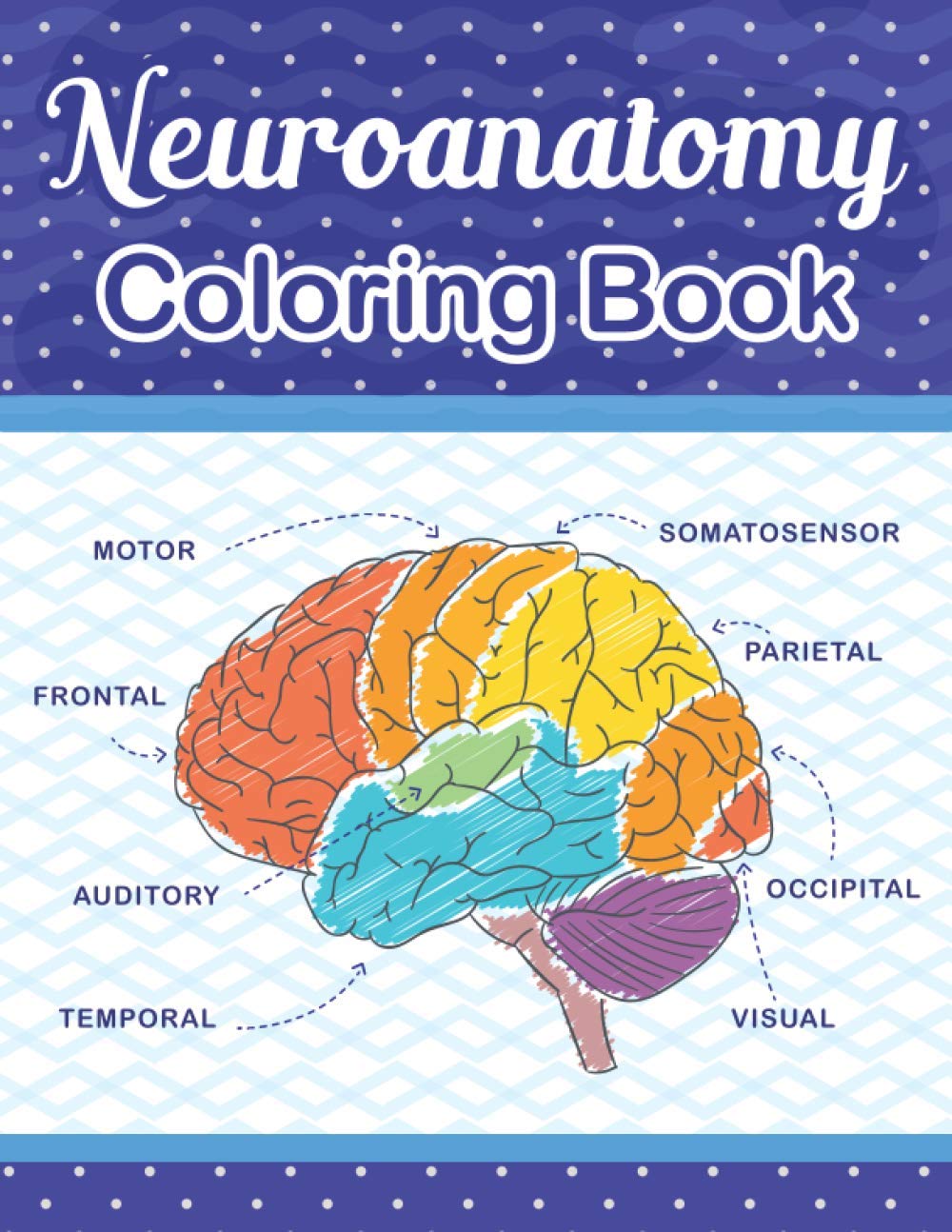 Amazon.com: Neuroanatomy Coloring Book: The Ultimate Human Brain ...