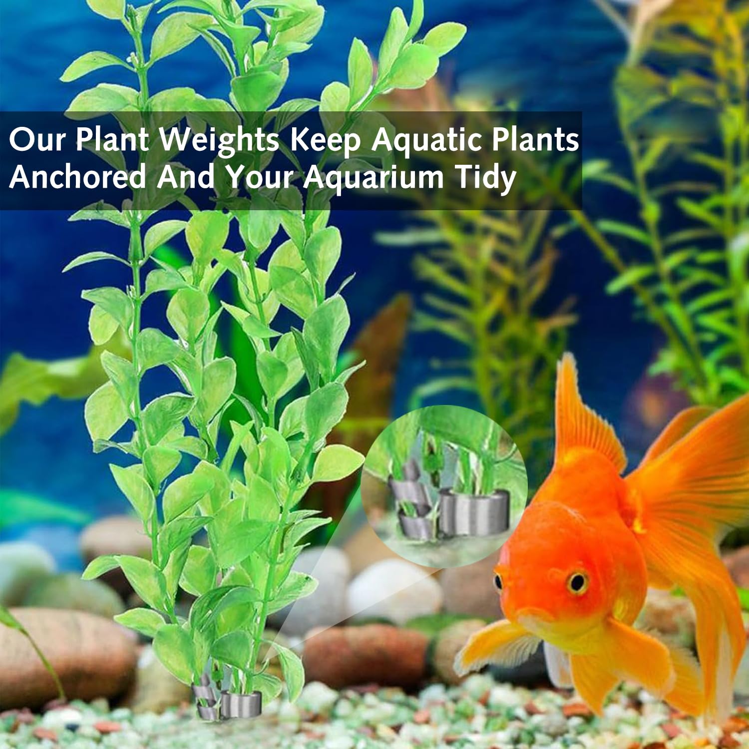 DILUSILK 20 Pcs Aquarium Plant Weights Anchors Prevents Floating, Plant ...