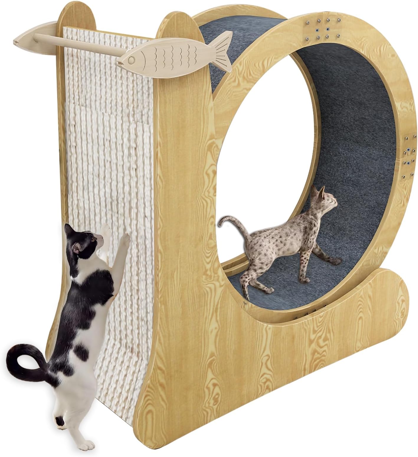 Amazon.com : MIWOOYY Large Cat Exercise Wheel with Scratcher and ...