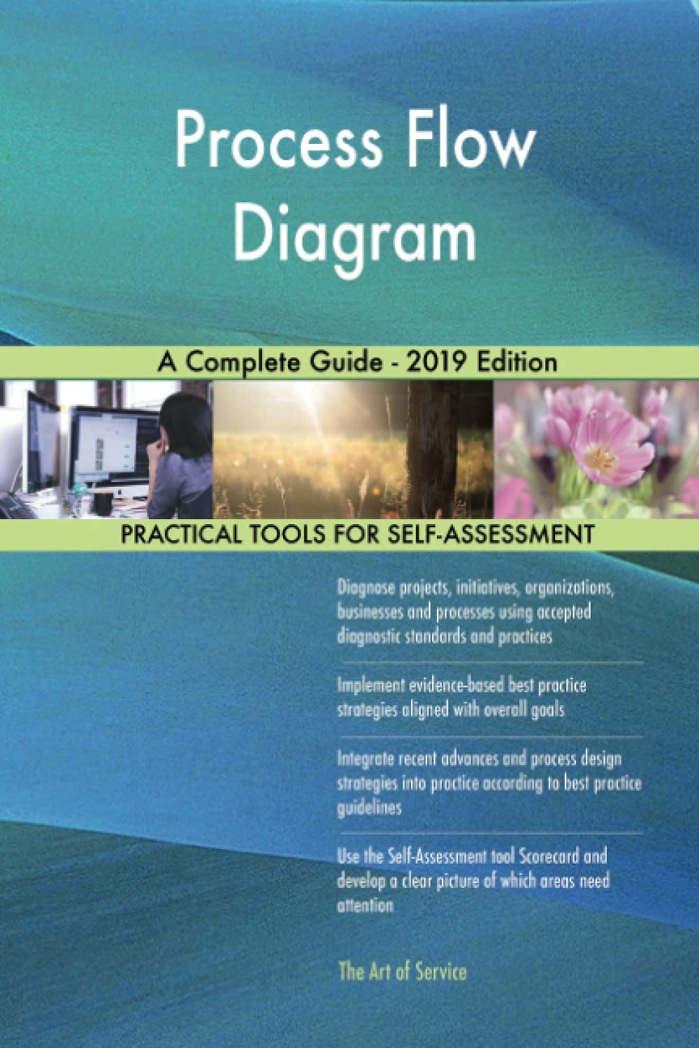 Buy Process flow diagram A Complete Guide - 2019 Edition Book Online at ...
