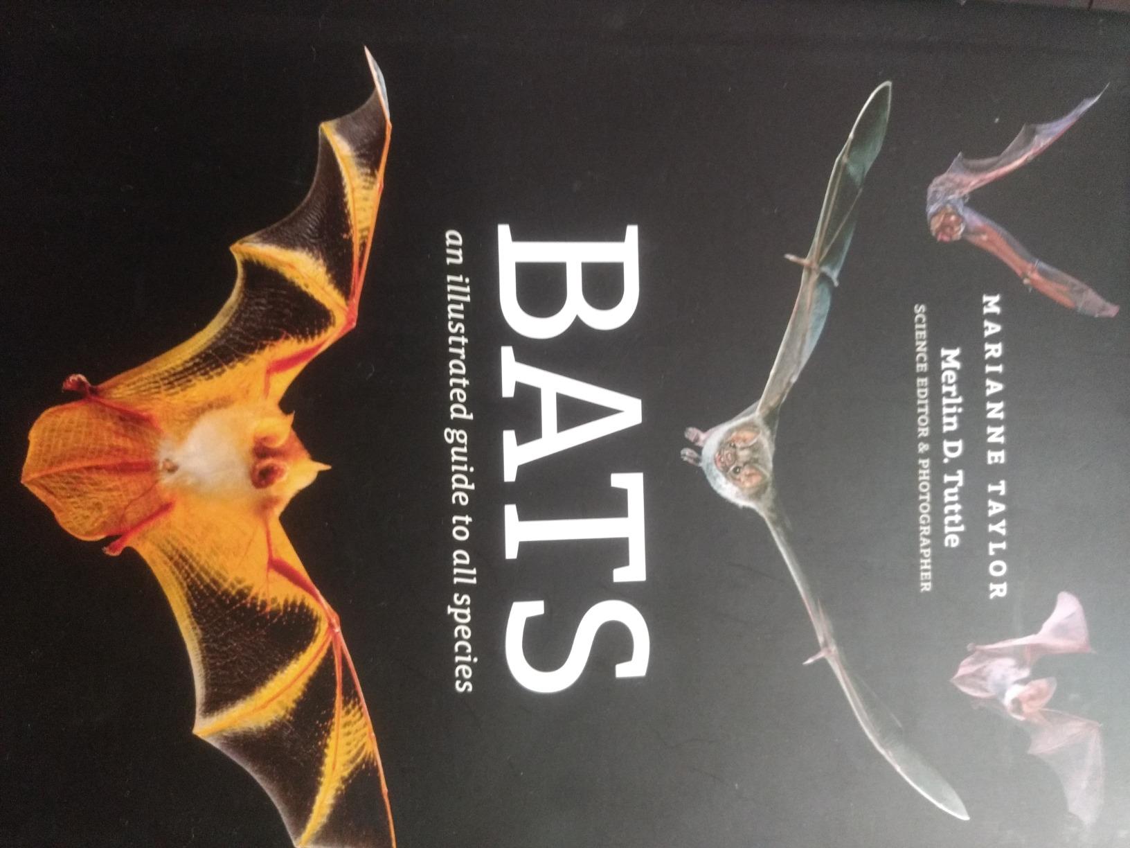 Buy Bats: An Illustrated Guide to All Species Book Online at Low Prices ...