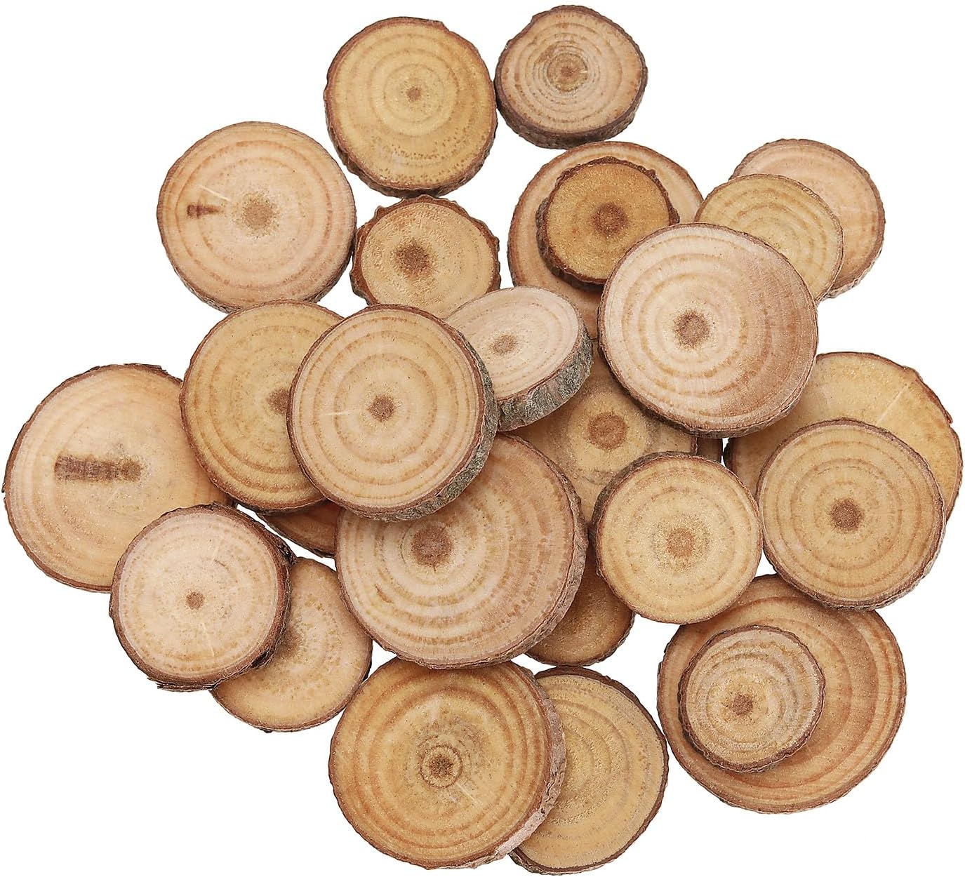 Amazon.com: eMagTech 100pcs Natural Tree Ring Round Wood Chips ...
