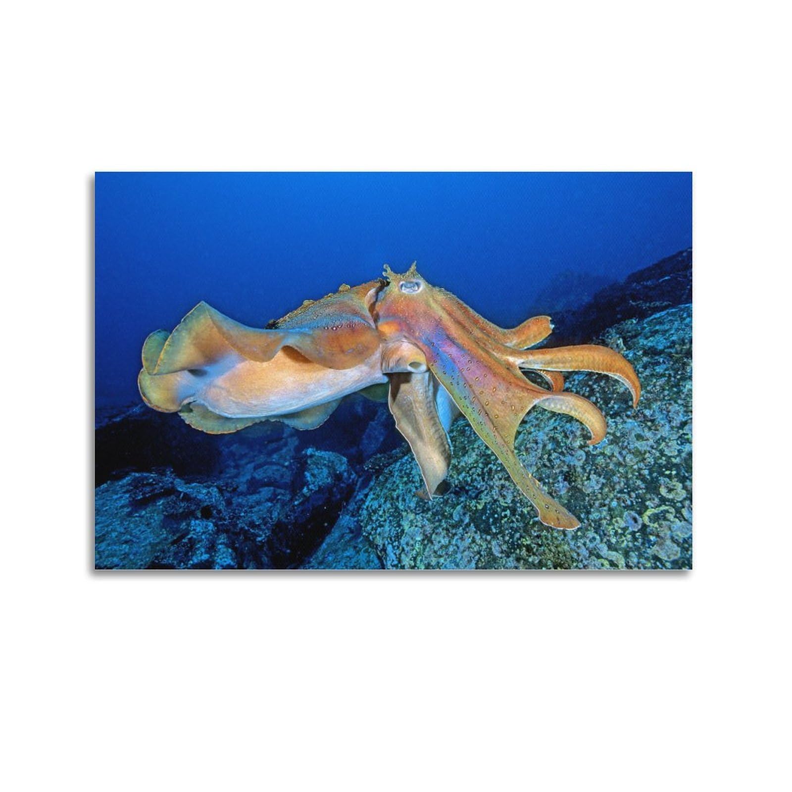 Cuttlefish Painting Animal Artists Collective: Oceans & Coasts