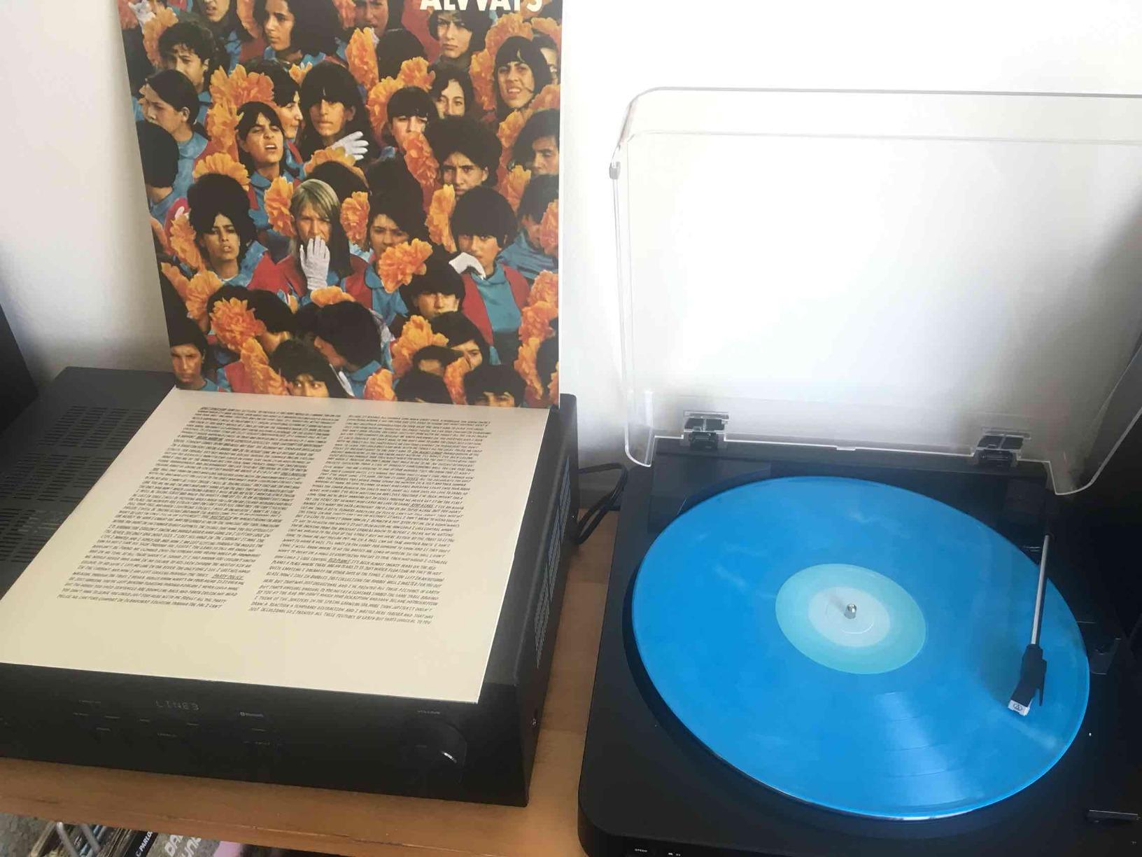 Amazon.com: Alvvays - Exclusive Limited Edition Red & Blue Spinner ...