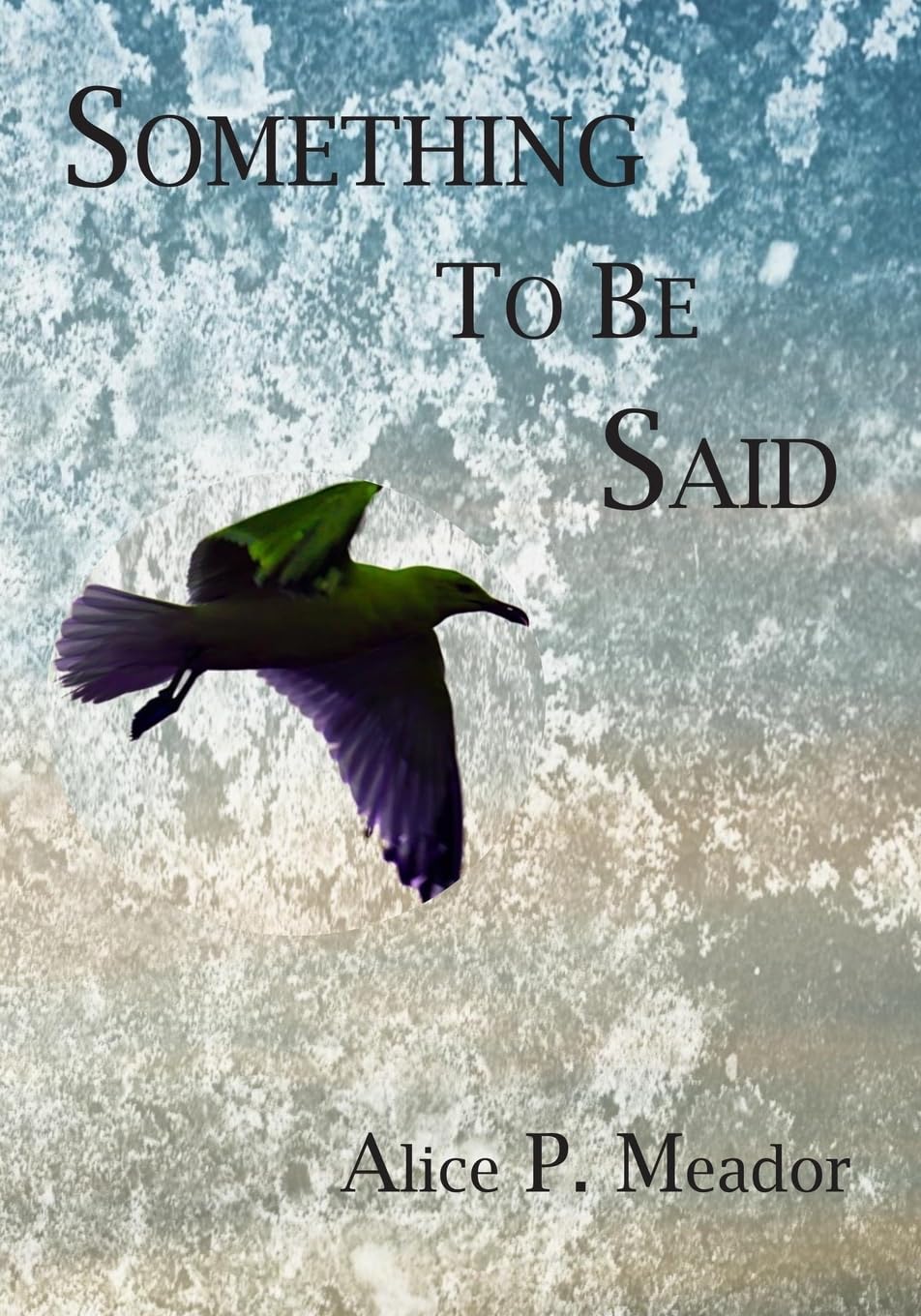 Amazon.com: Something to be Said: 9781514655771: Meador, Alice Parker ...