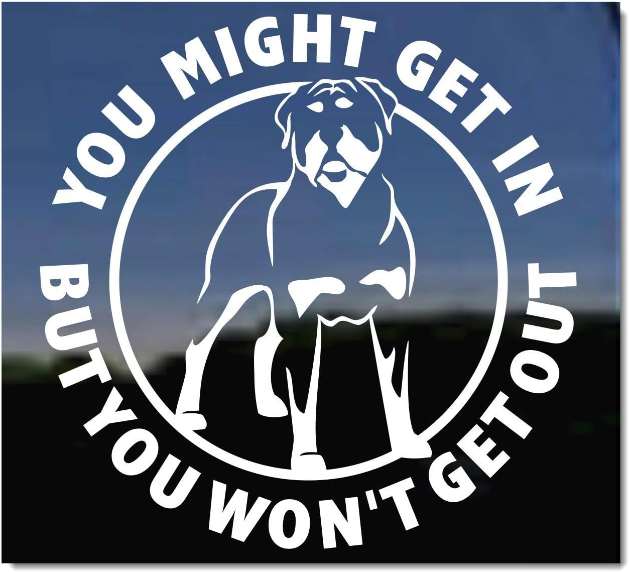 Amazon.com: You Might Get in But You Won't Get Out | Belgian Malinois ...