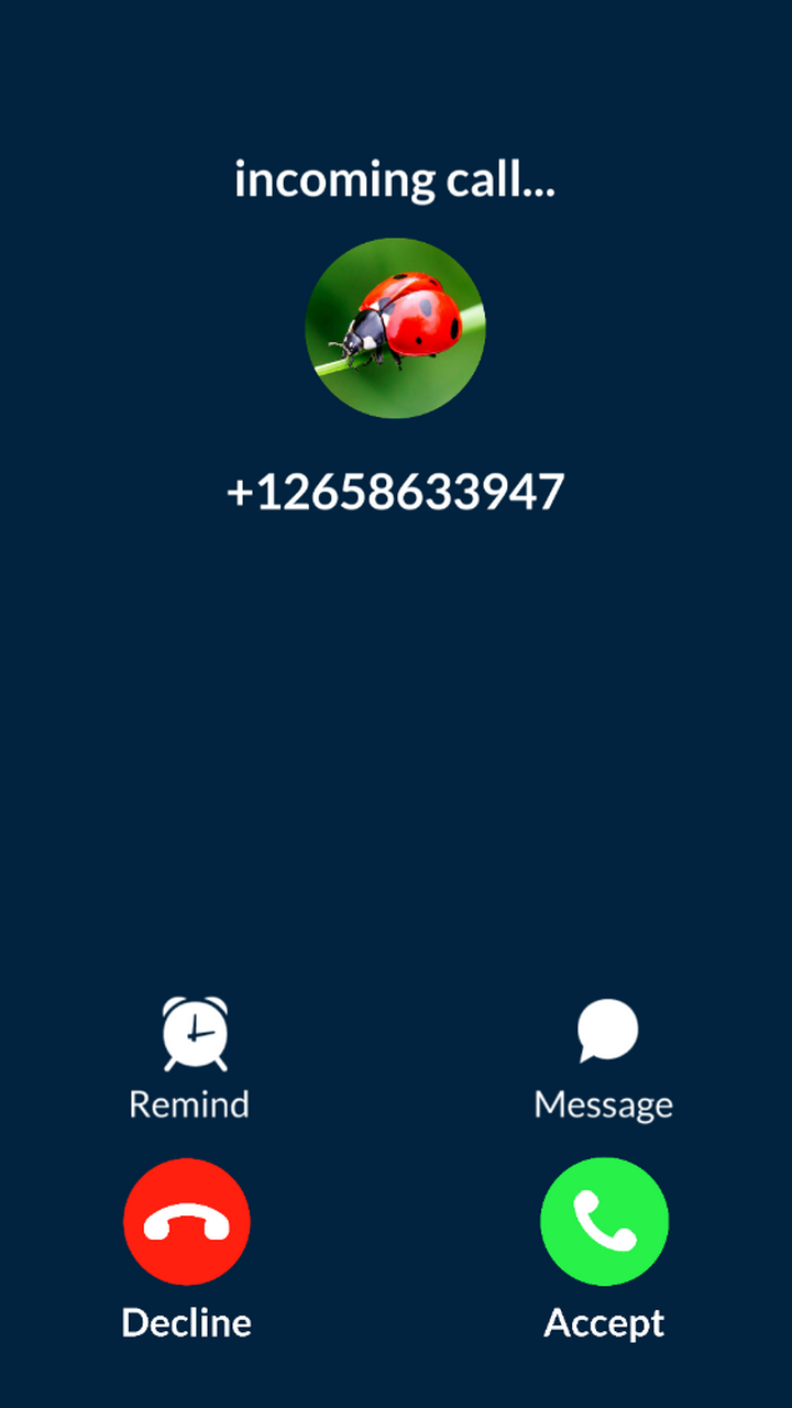 Ladybug Calls - App on Amazon Appstore