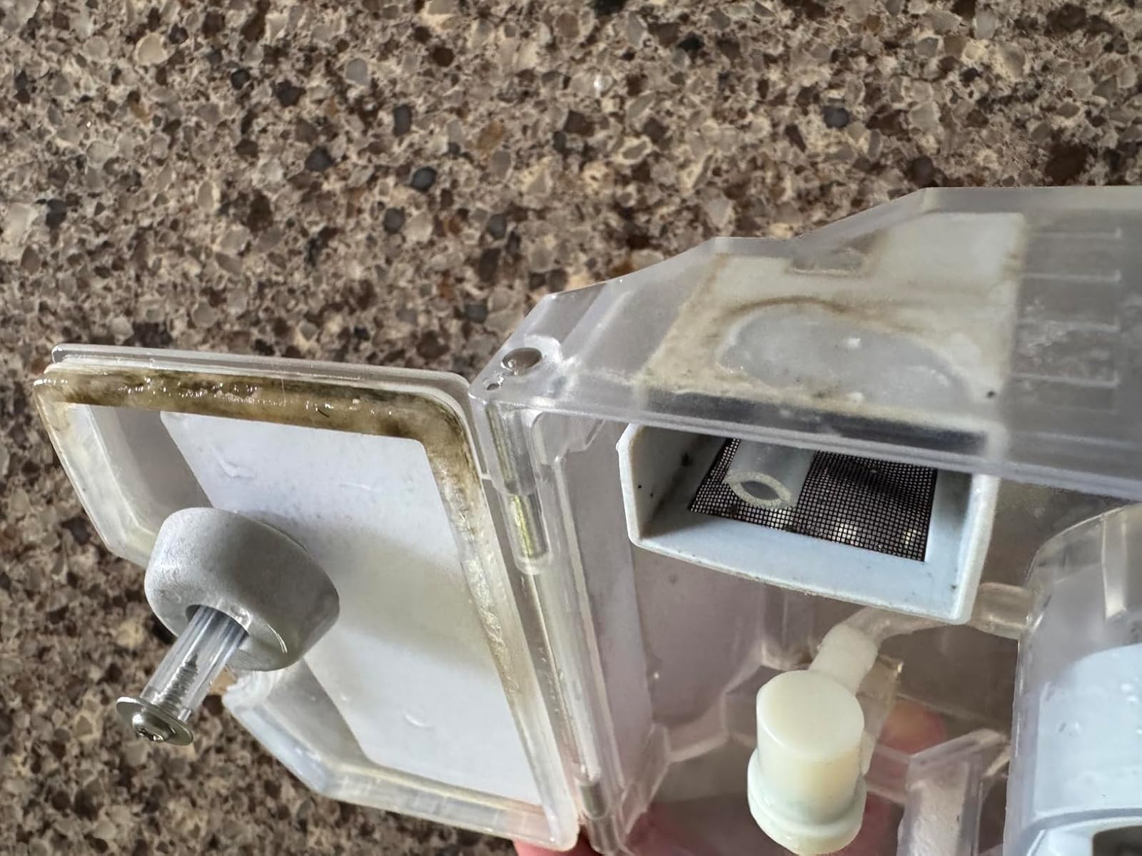 Mold growing and unuseable