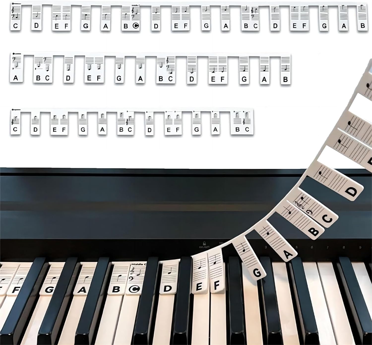 ZARSIO Removable Piano Keyboard Note Labels 61/88 Key Full Size ...