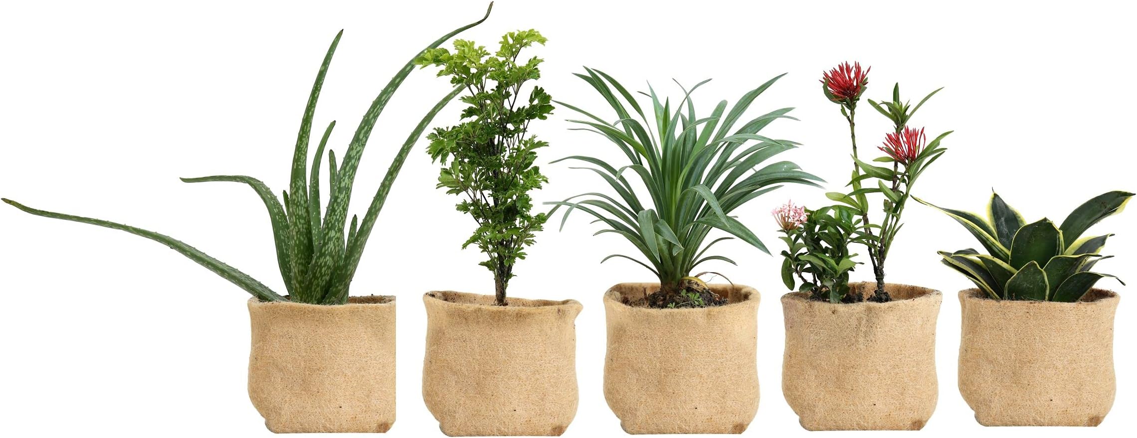 Amazon.com: Soft POTS (5 Gallon) (5 Pack) Best Fabric Soft Pots and ...