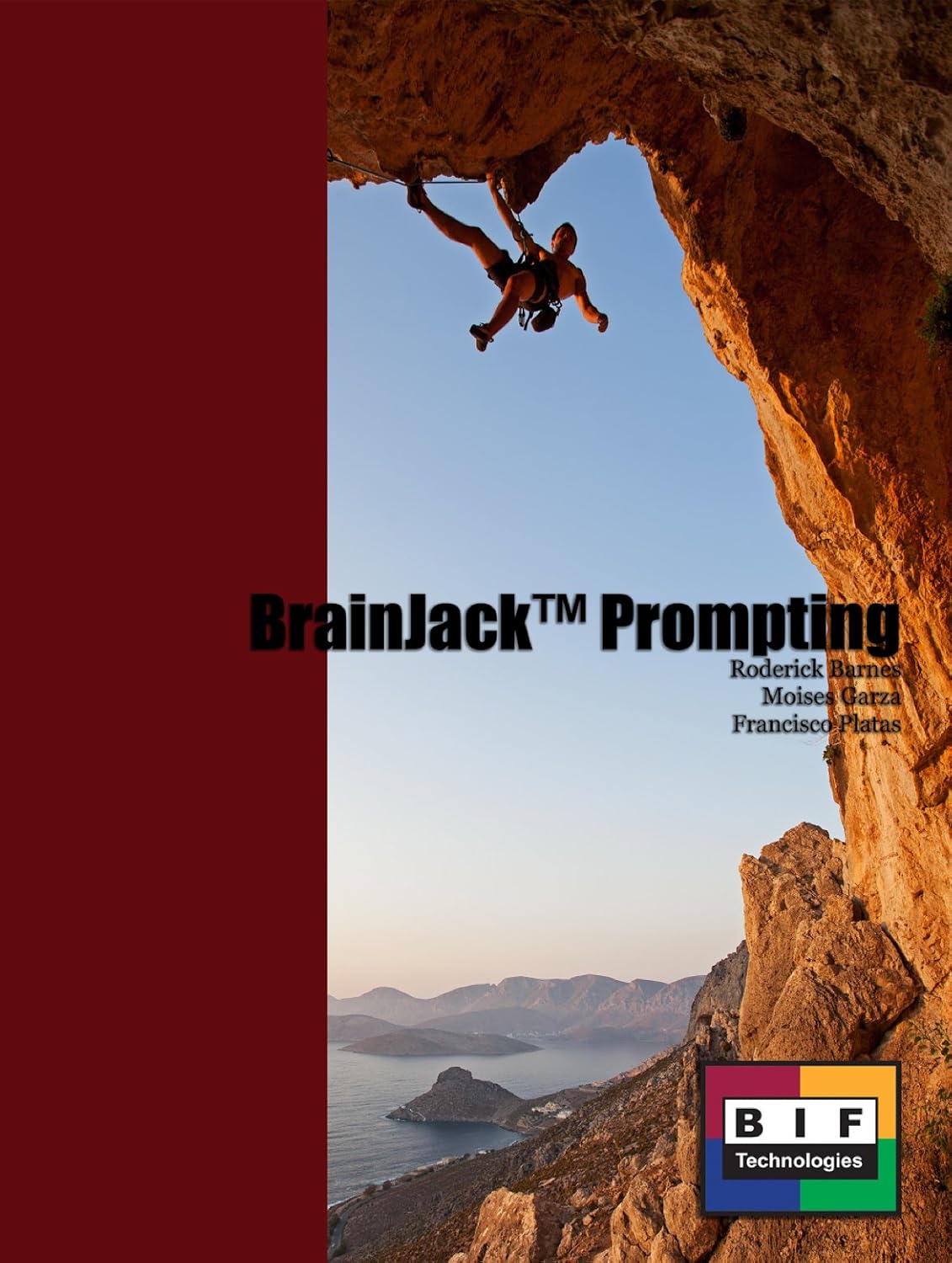 Amazon.com: BrainJack Prompting eBook : Barnes, Roderick, Garza, Moises ...