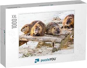 Amazon.com: Beaver Family Group Snow Teeth Mice Four Members of a Bea ...