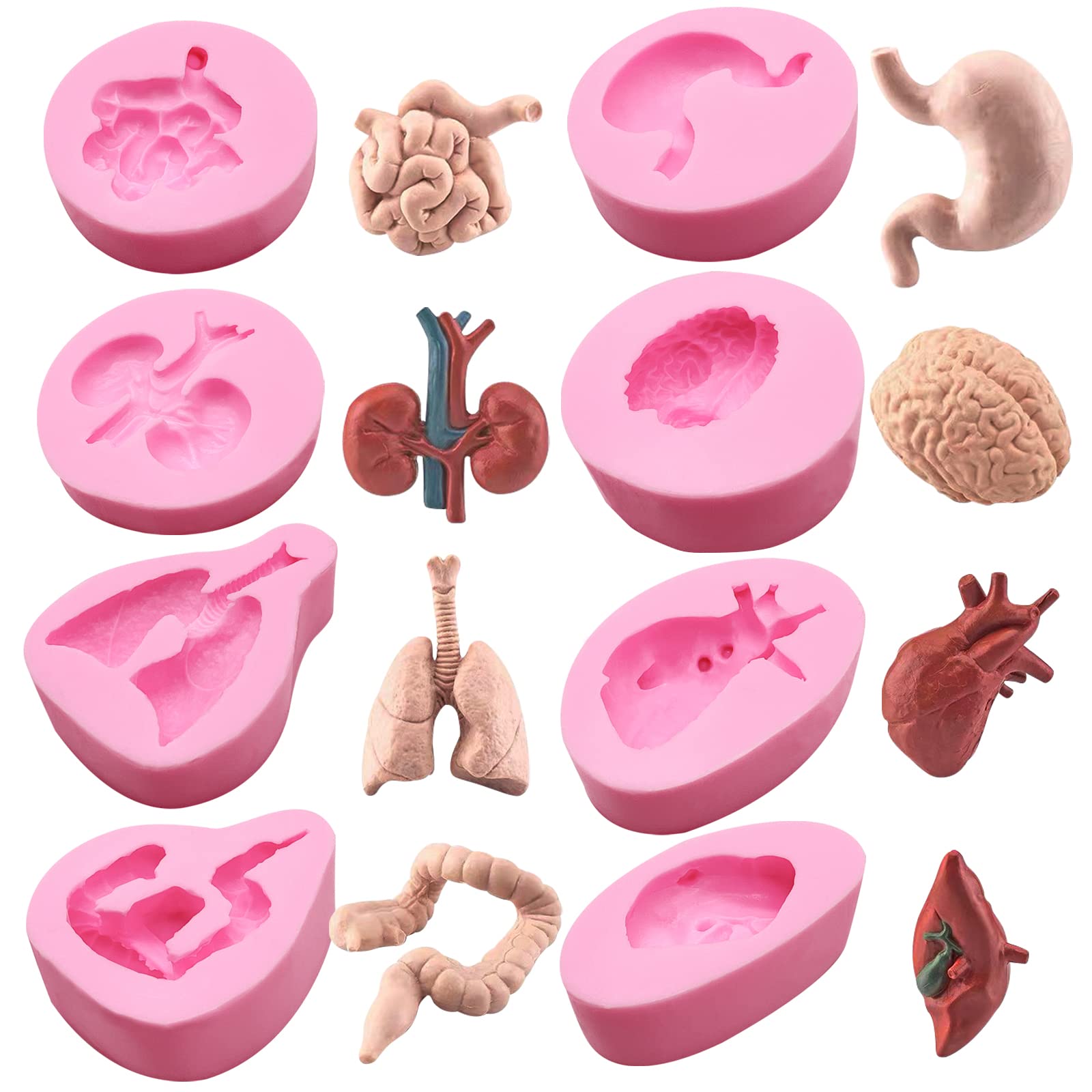 Amazon.com: 8 Pcs Organs Fondant Molds, Human Lung Heart Brain Silicone ...