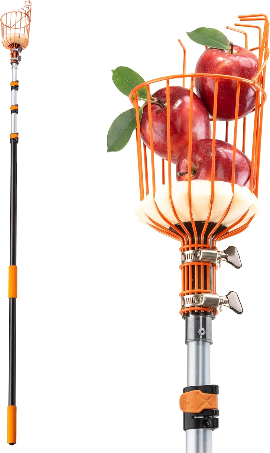 Amazon.com : Fruit Picker Pole with Basket Telescoping 7-30 ft Apple ...