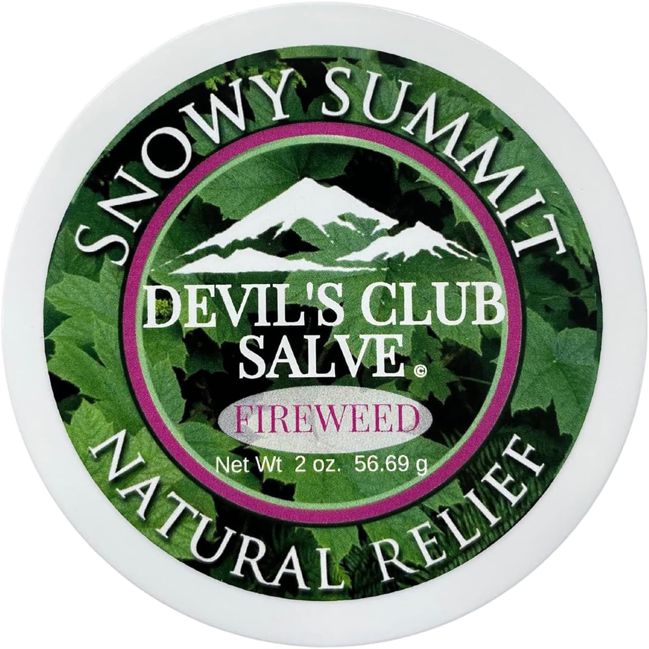 Amazon.com : Snowy Summit Alaska Rainforest Salve - Herbal Salve for ...