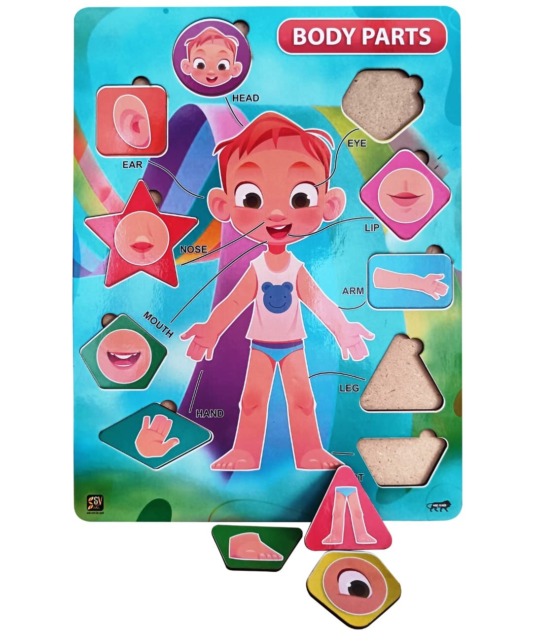 Wooden Educational Body Parts Learning Puzzle Body Parts : Amazon.in ...