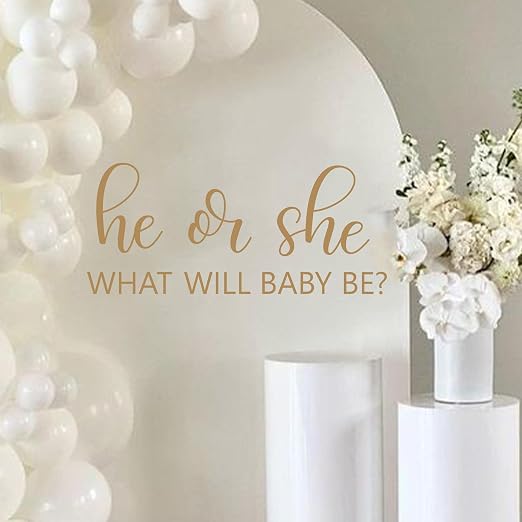 Amazon.com: He or She What Will Baby Be Decal - He or She Baby Shower ...
