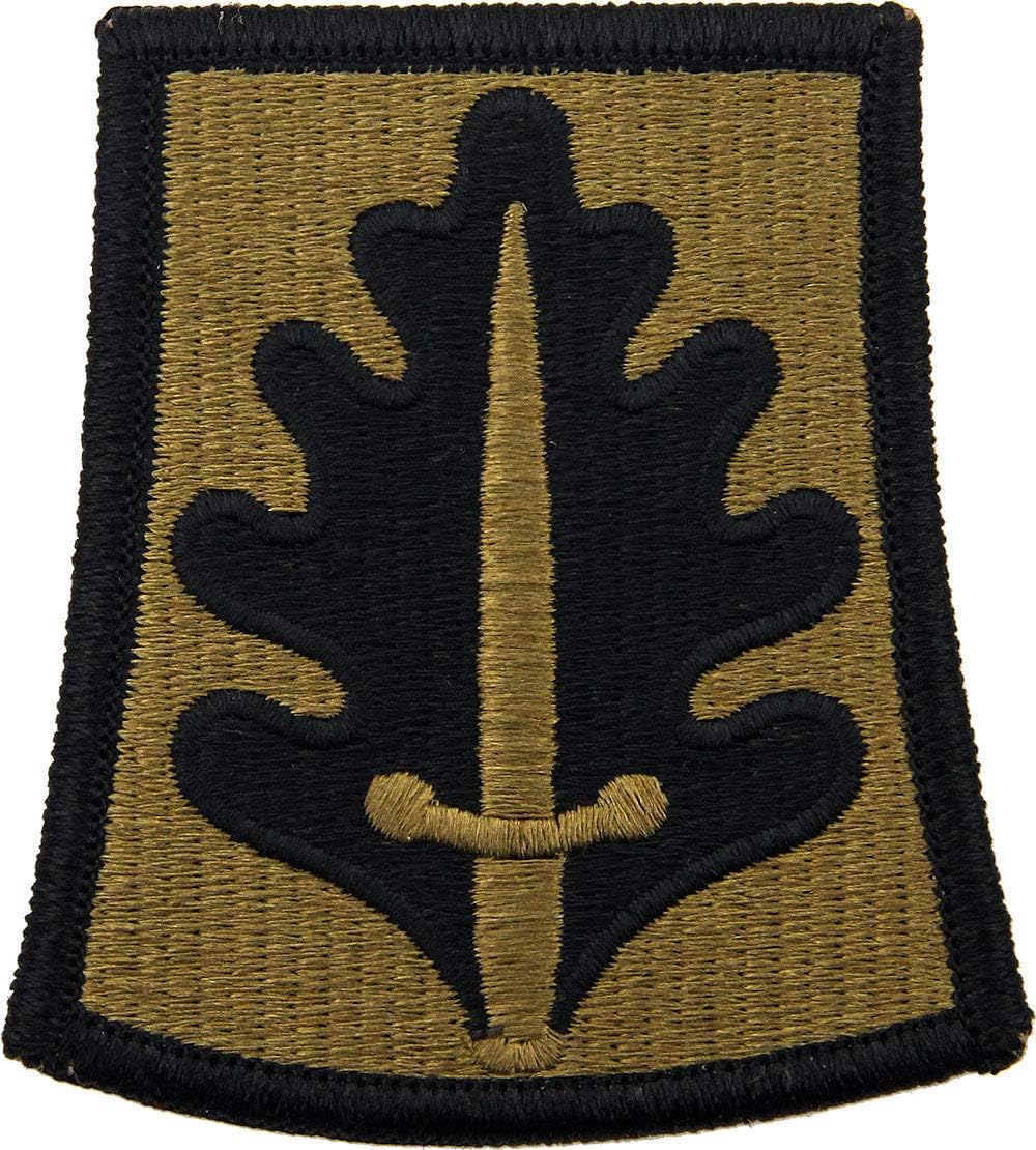 Amazon.com: 333rd Military Police Brigade Patch Scorpion/OCP with Hook ...