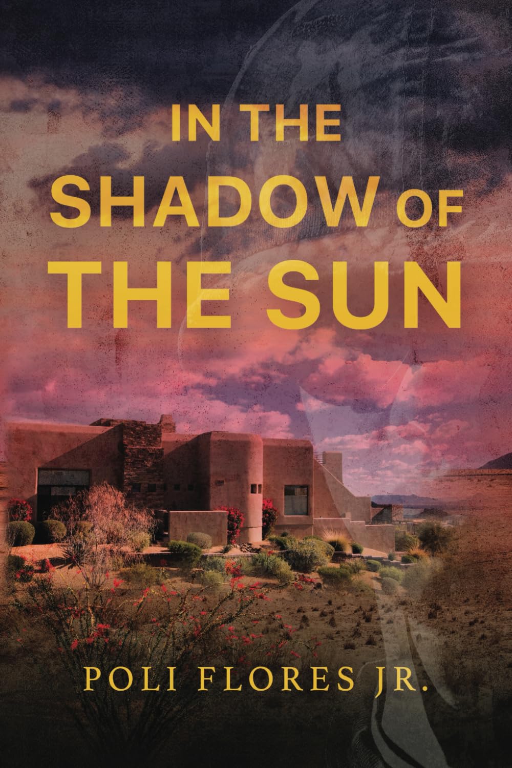 Amazon.com: In the Shadows of the Sun: 9798363956645: FLORES, POLI: Books