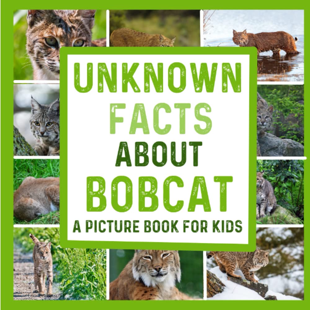 Buy Unknown Facts About The Bobcat A Picture Book For Kids Amazing buy-unknown-facts-about-the-bobcat-a-picture-book-for-kids-amazing