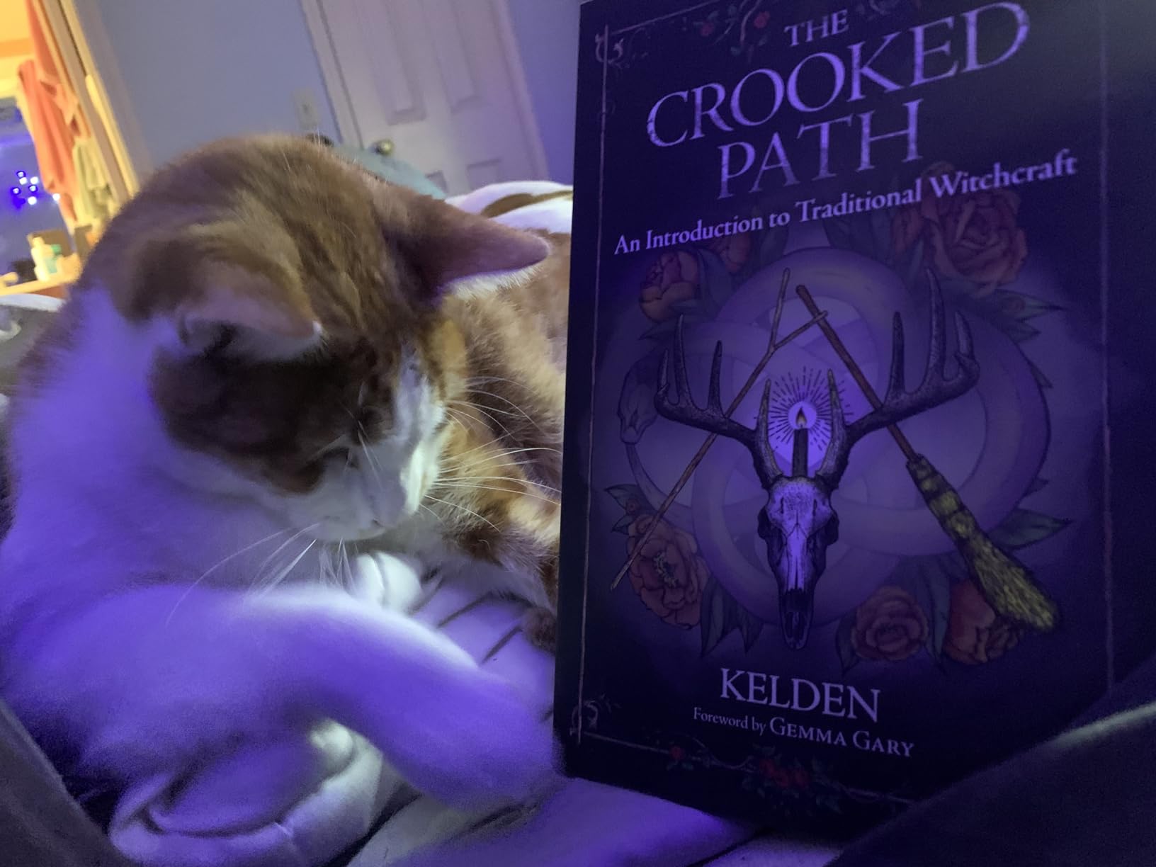 The Crooked Path: An Introduction to Traditional Witchcraft: Kelden ...