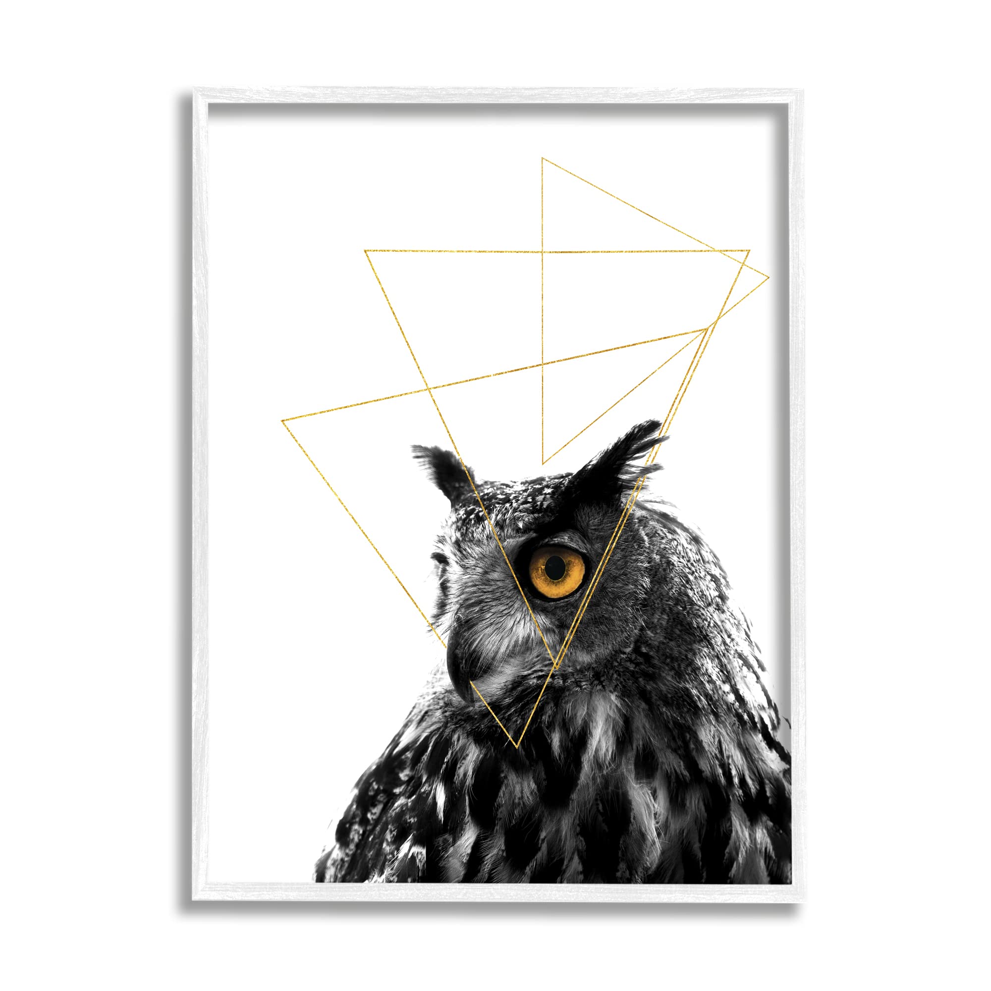 Geometric Owl Design